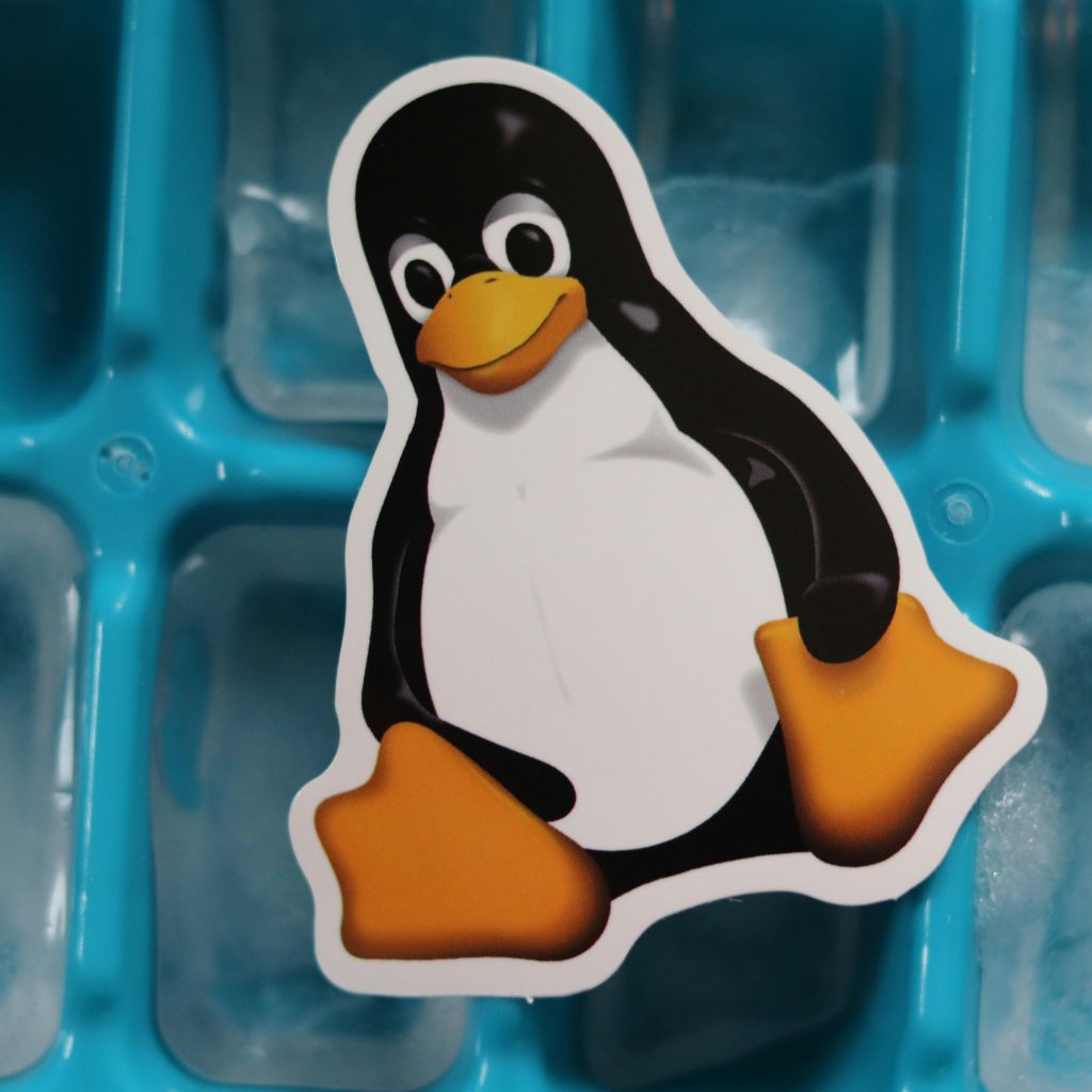 The History of Linux & The Impact of Linus Torvalds